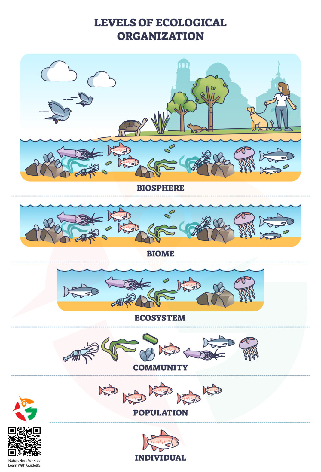 The Levels of Ecological Organization - Kids - GuideBG