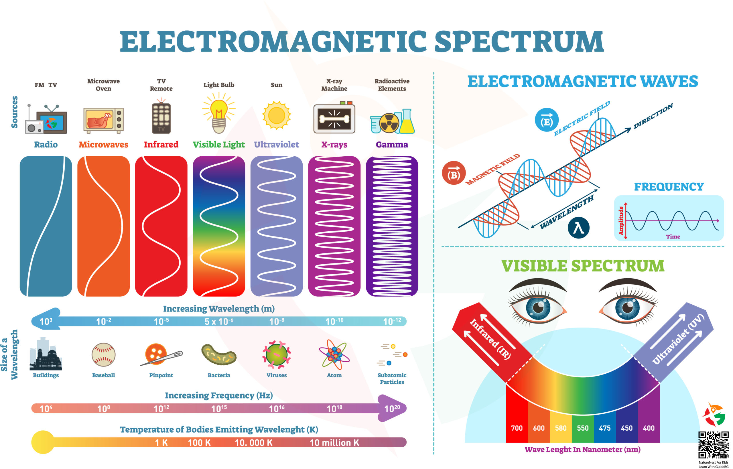 The Electrifying World of Electromagnetic Waves - NatureNest - GuideBG
