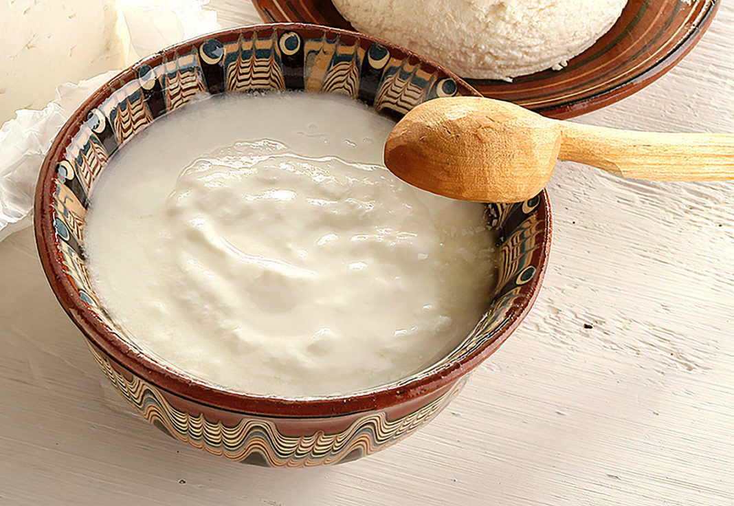 Homemade Bulgarian Yogurt - Gourmet - GuideBG