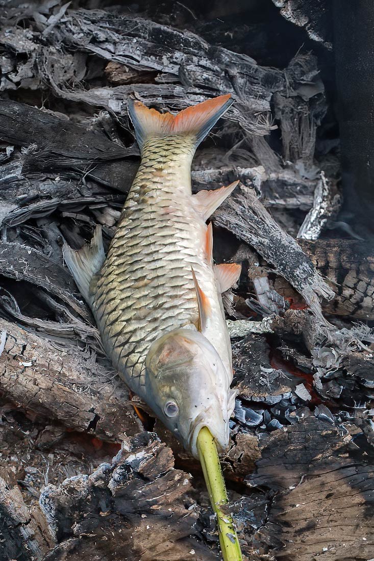 Principles of Grilling Fish: A Complete Guide - Gourmet - GuideBG